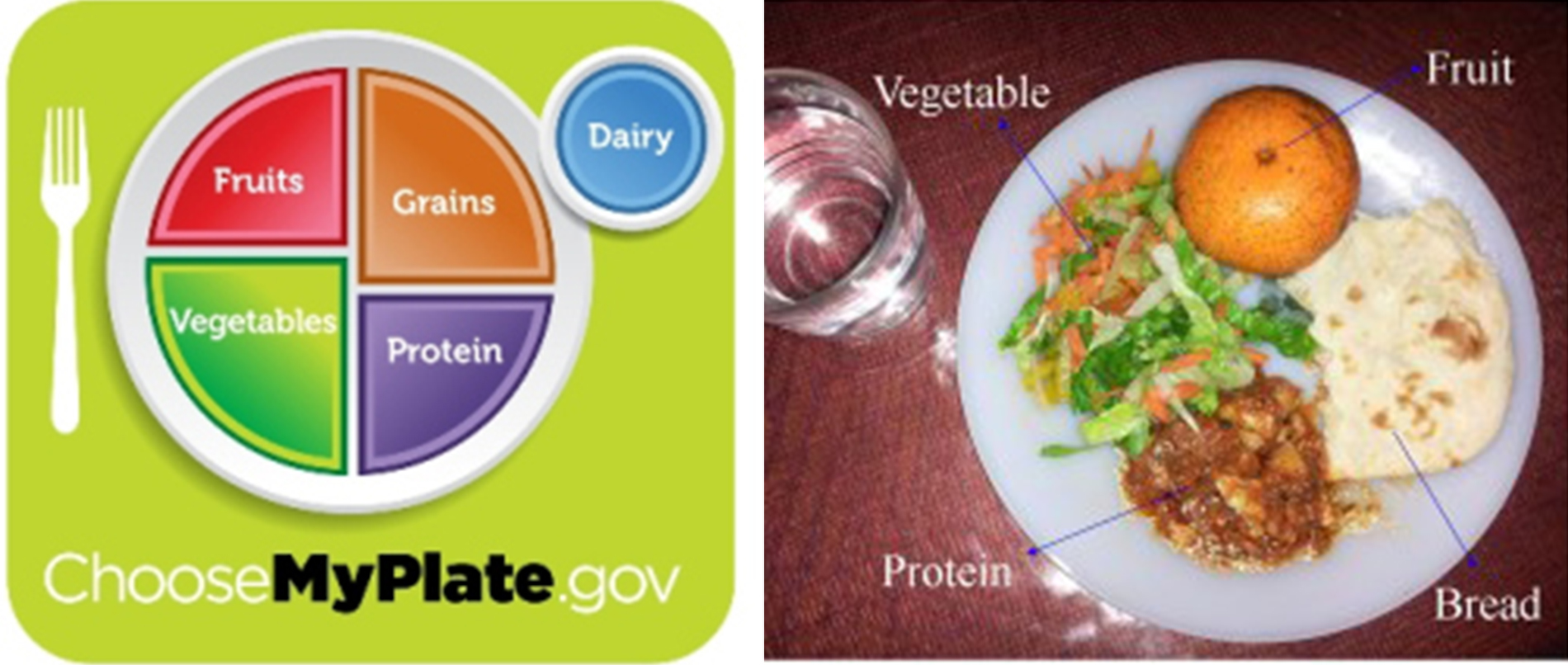 My Plate vs. My Plate – Dallas Dietitian Nutritionist
